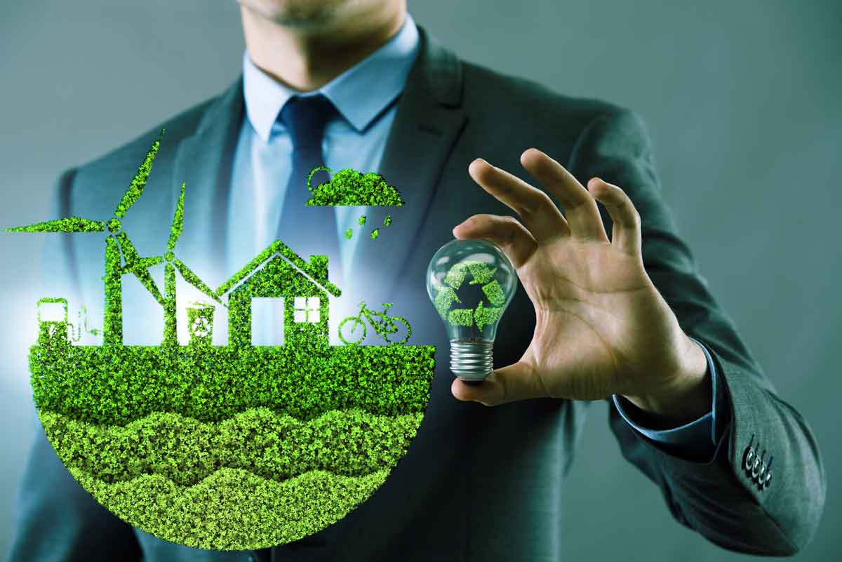 Building a Sustainable Brand: A Guide for Businesses - The Forest Blog